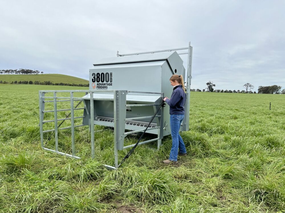Creep Gate Lift Assist Bands - Advantage Feeders United States